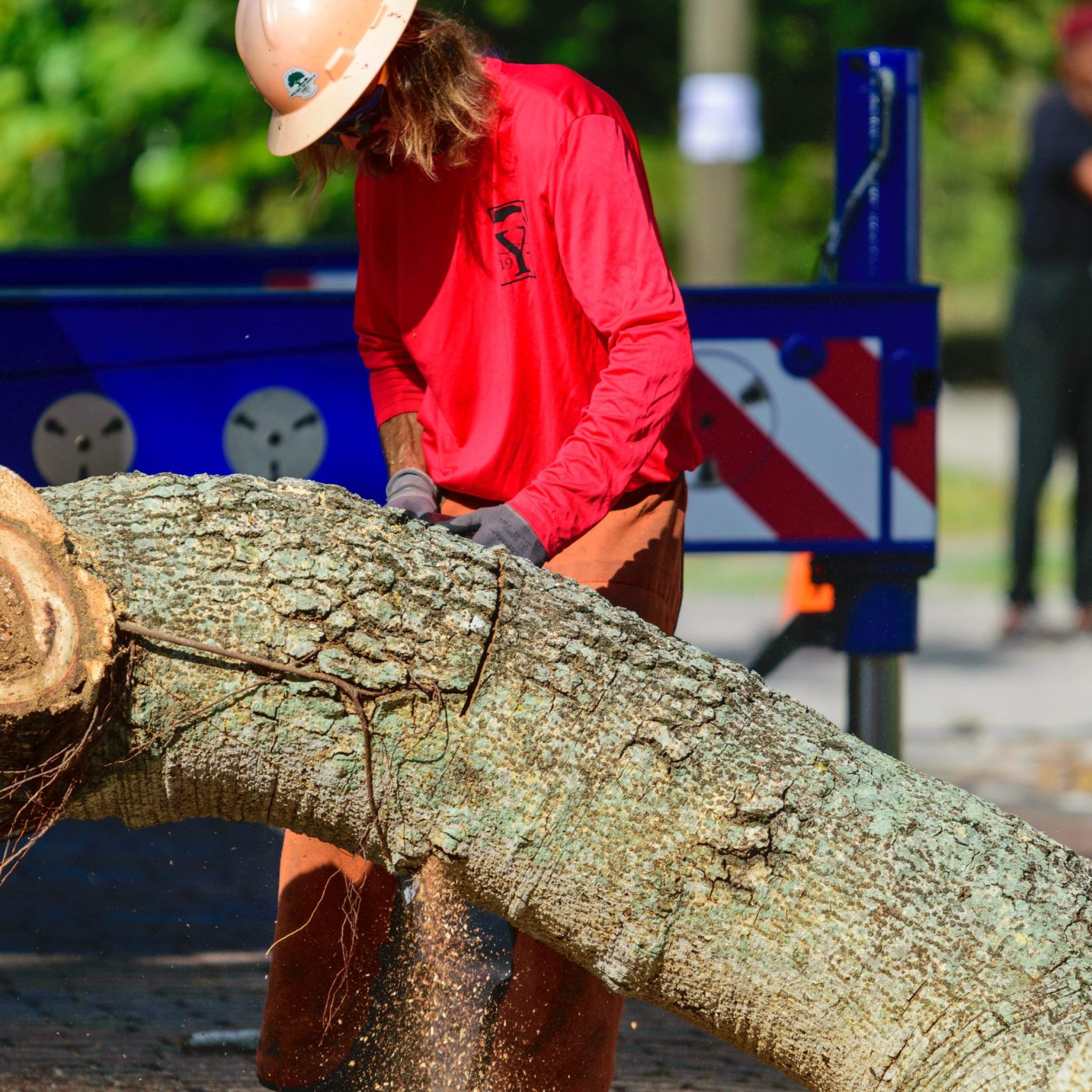 Carefest Photo Gallery - Yutzy Tree Service